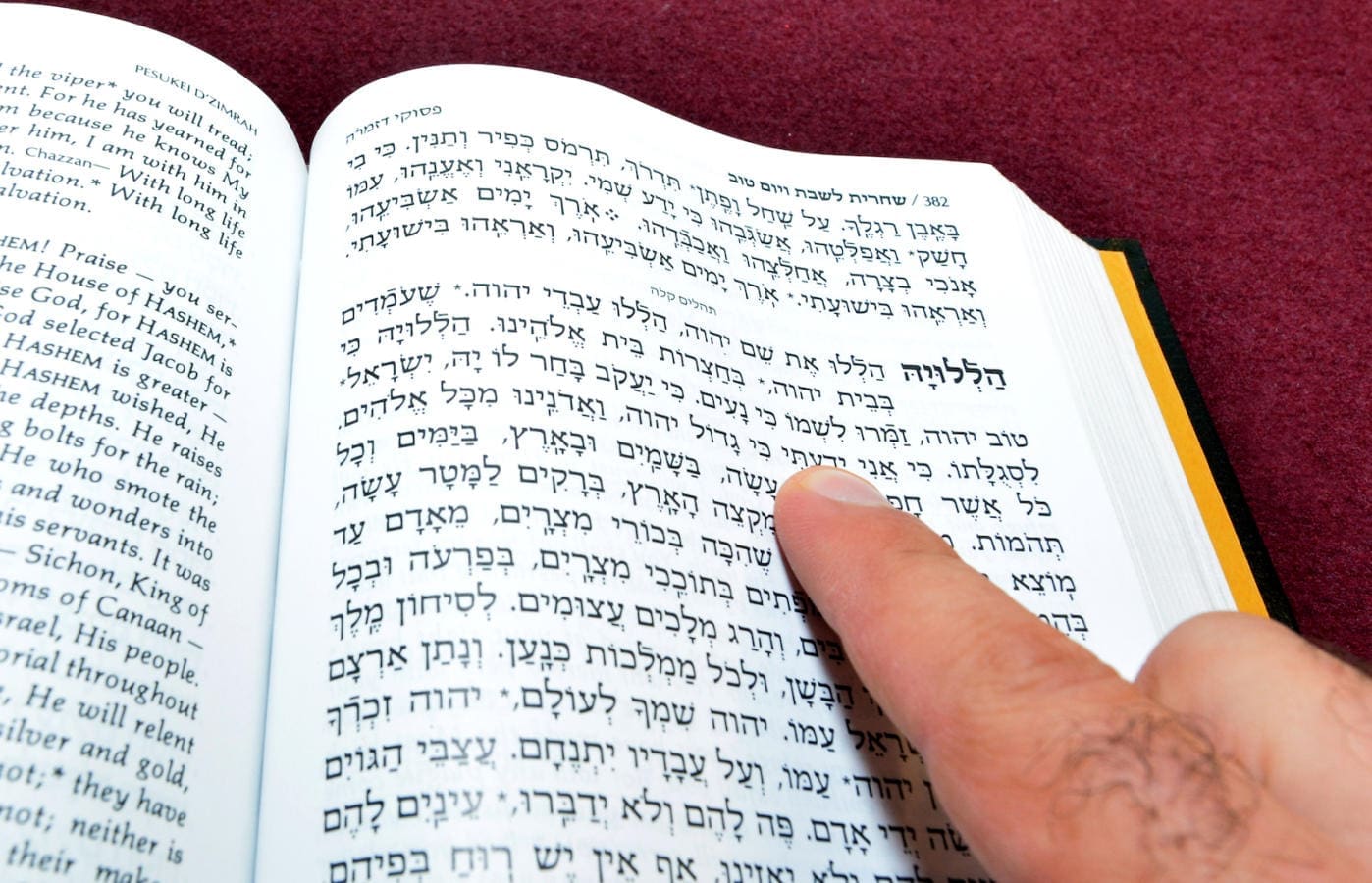 Explore the Siddur | Congregation Beth El